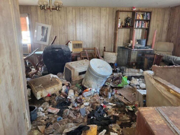 Arizona woman, 77, charged with 43 counts of Animal Cruelty in animal ...